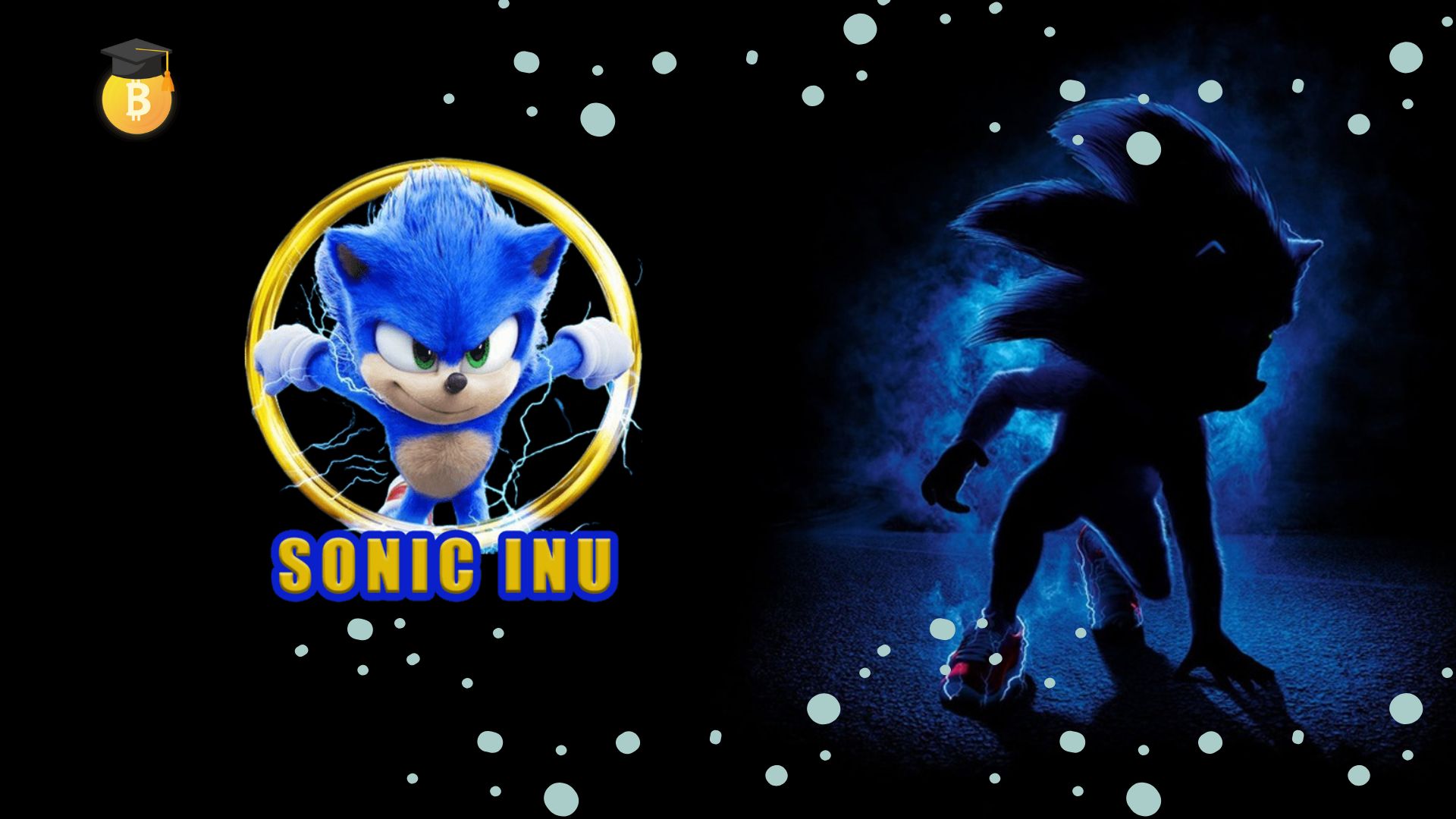 🎓 كل ما تريد معرفته عن عملة SONIC الرقمية وسوق Sonic Inu NFT